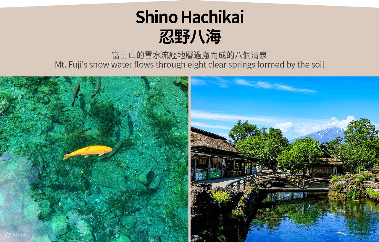 [Mount Fuji Tour & Outlet Shopping/Hot Spring Tour] Mt. Fuji 5th ...